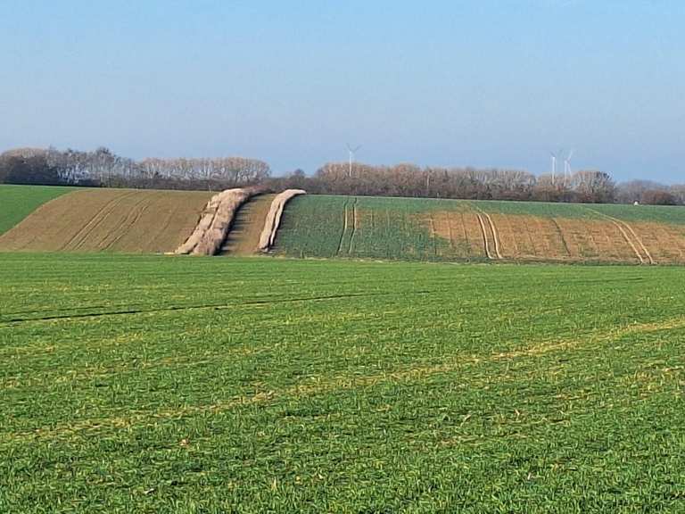 Beautiful Field Path - Routes for Walking and Hiking | Komoot