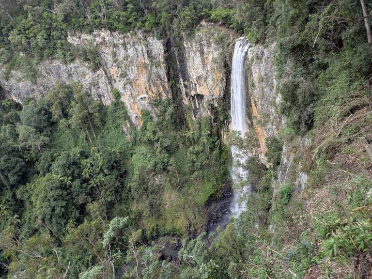 Purling Brook Falls Circuit – Routes & How to Get There | Komoot