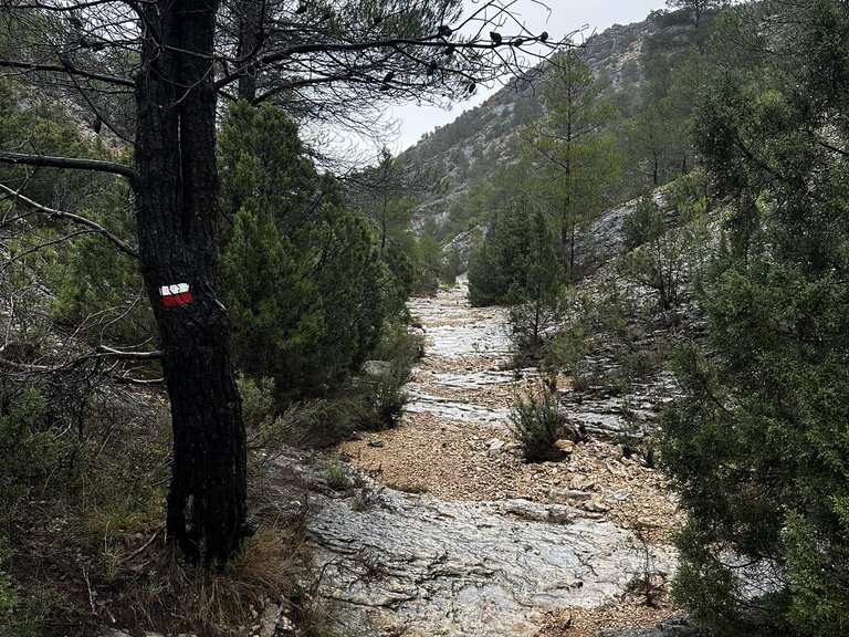 Spectacular Section of the GR 8 - Routes for Walking and Hiking | Komoot