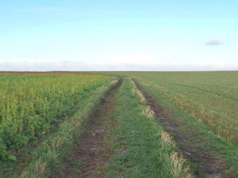 Through the wide-open fields - Routes for Walking and Hiking | Komoot