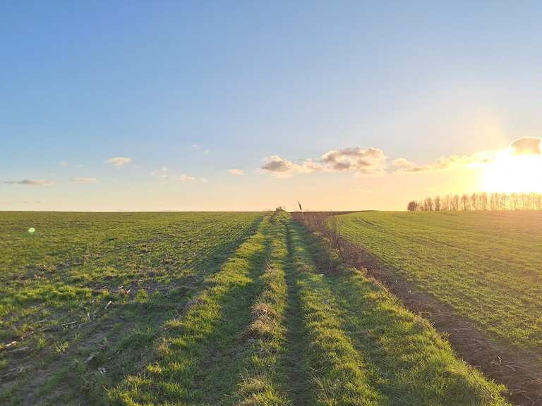 Through the wide-open fields - Routes for Walking and Hiking | Komoot