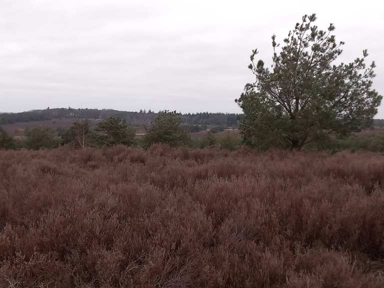 Sprengenberg Haarle met stukje diepe hel | Wanderung | Komoot