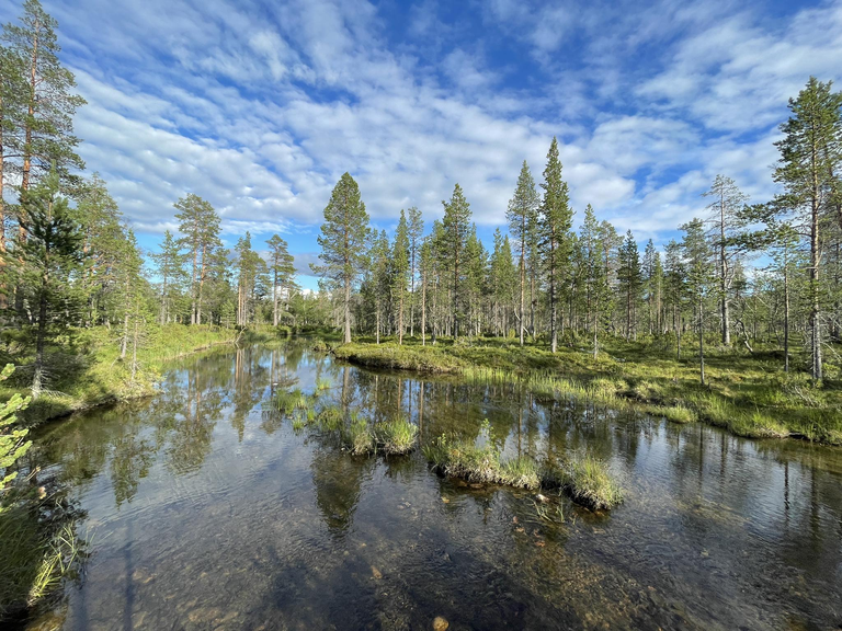 Arctic by Cycle – The Urho Kekkonen National Park MTB Loop | Mountain ...