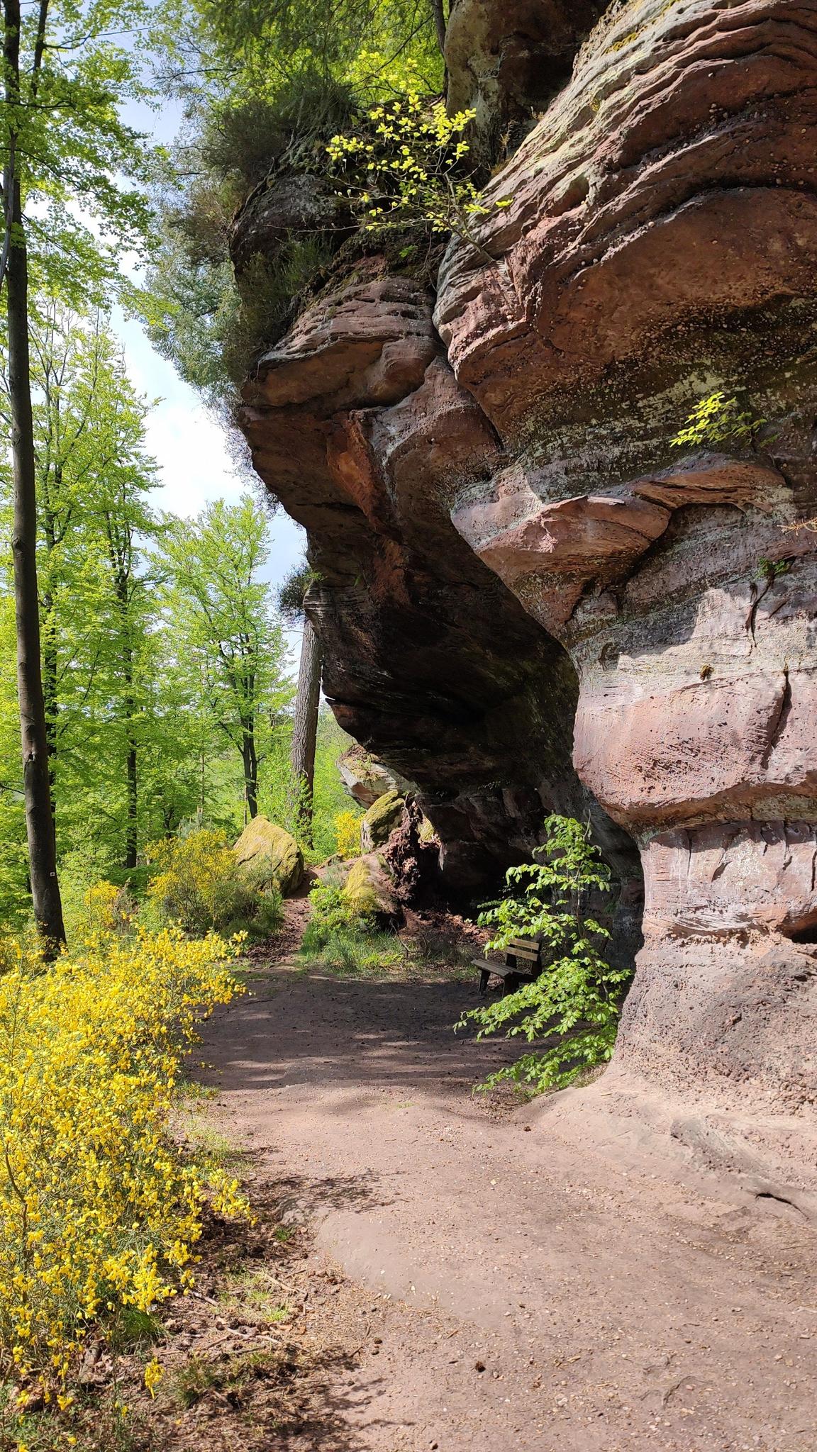 Things to Do around Erkartsweiler
