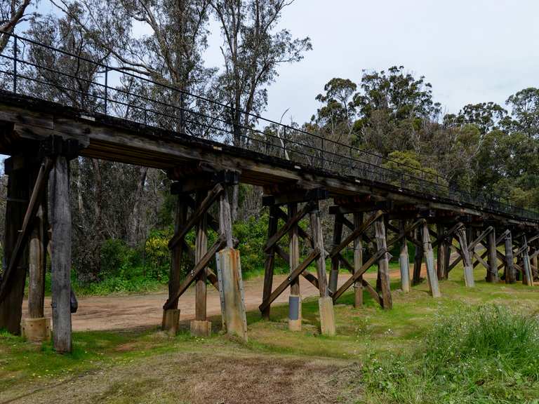"Riding on Pea Gravel is like riding on Marbels!"🚵🔮 - Nannup (🇦🇺 Tag 28 ...
