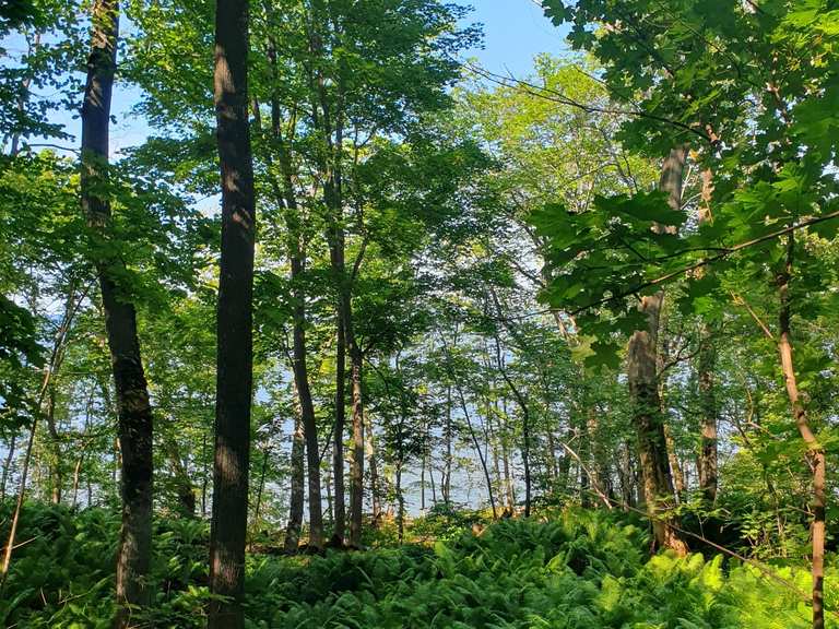 Wanderung Valaste Wasserfall | Wanderung | Komoot