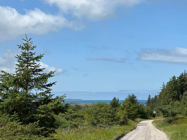 Radurlaub 2023 Aalborg Dänemark nach Rees Niederrhein | Komoot