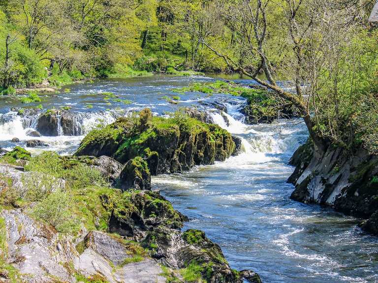 Teifi River Pilgrimage | Komoot