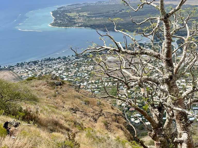 Mauritius 🇲🇺: La Tourelle Tamarin Mountain (17.10.24) | Wanderung | Komoot