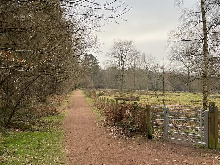 A Walk Around Clumber Park with Jackie | hike | Komoot