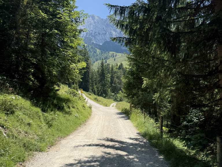 Brentenjochalm - Hochegg | Gravel-Tour | Komoot