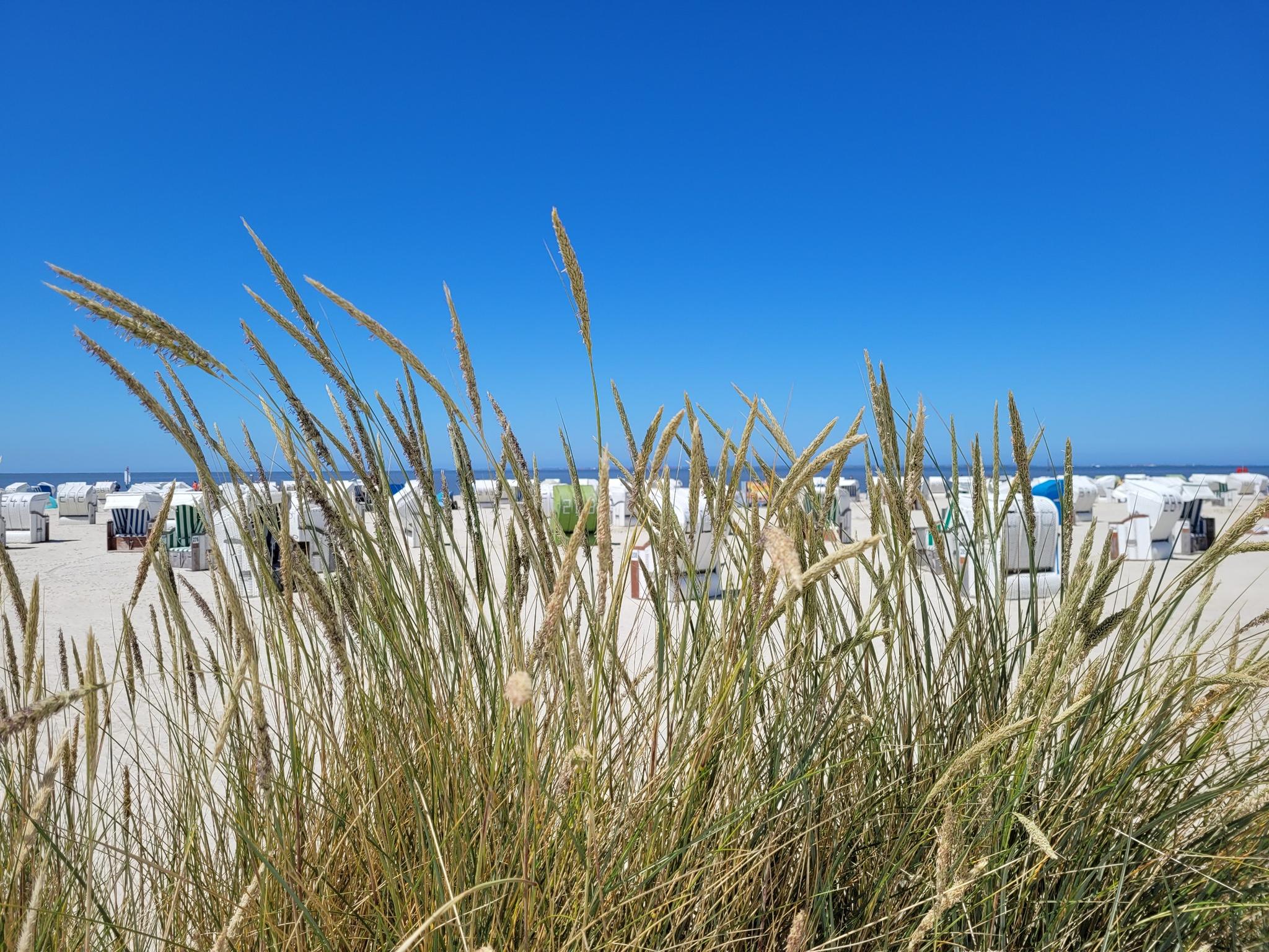 Sternfahrten mit Bahn und Rad ab Bad Zwischenahn | Komoot