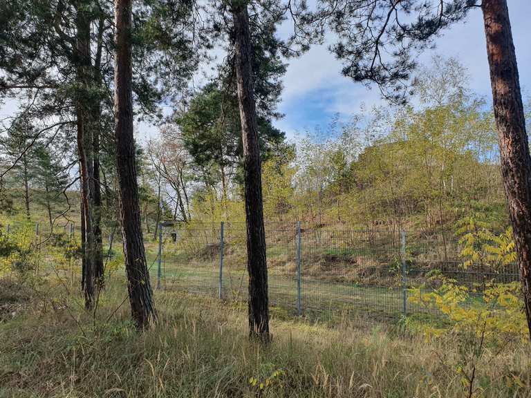 Schloss Sallgast – Finsterwalder Wasserturm Runde von Finsterwalde ...