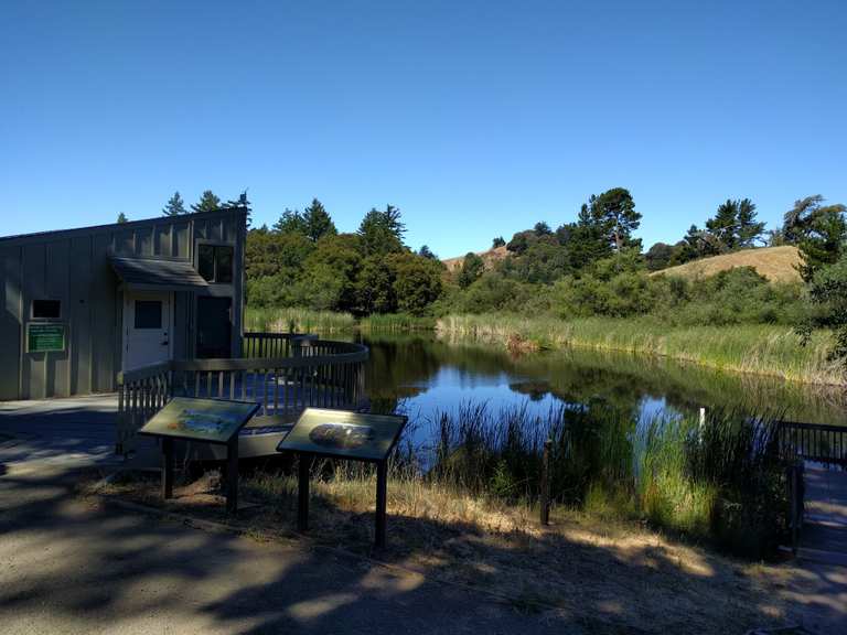 Alpine Pond - Horseshoe Lake loop | caminhada | Komoot