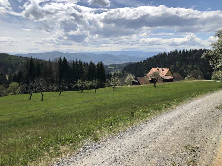 Rund um Graz Nord/West Rannach Friesach Rein St. Oswald Lieboch ...