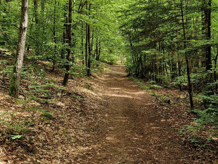 Fleckstein – PWV-Wanderheim "Hohe List" Runde von Erlenbrunn ...