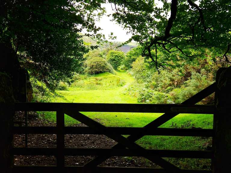 Meldon Woods | Wanderung | Komoot