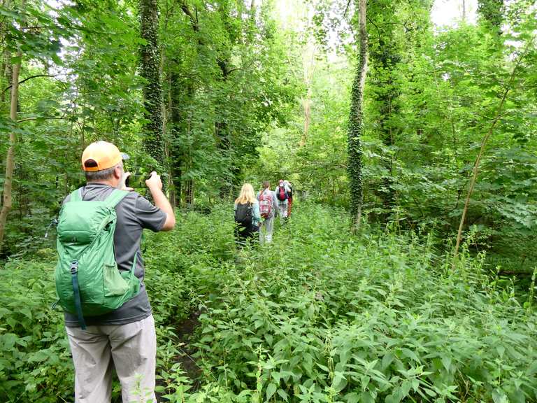 „Lieber die Rute als Luckenwalde an der Nuthe?“ Rund um Luckenwalde und ...