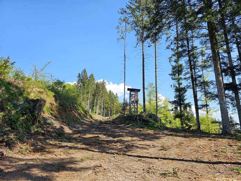 Endenburg Lipple Friederichsheim Endenburg | E-Mountainbike-Tour | Komoot