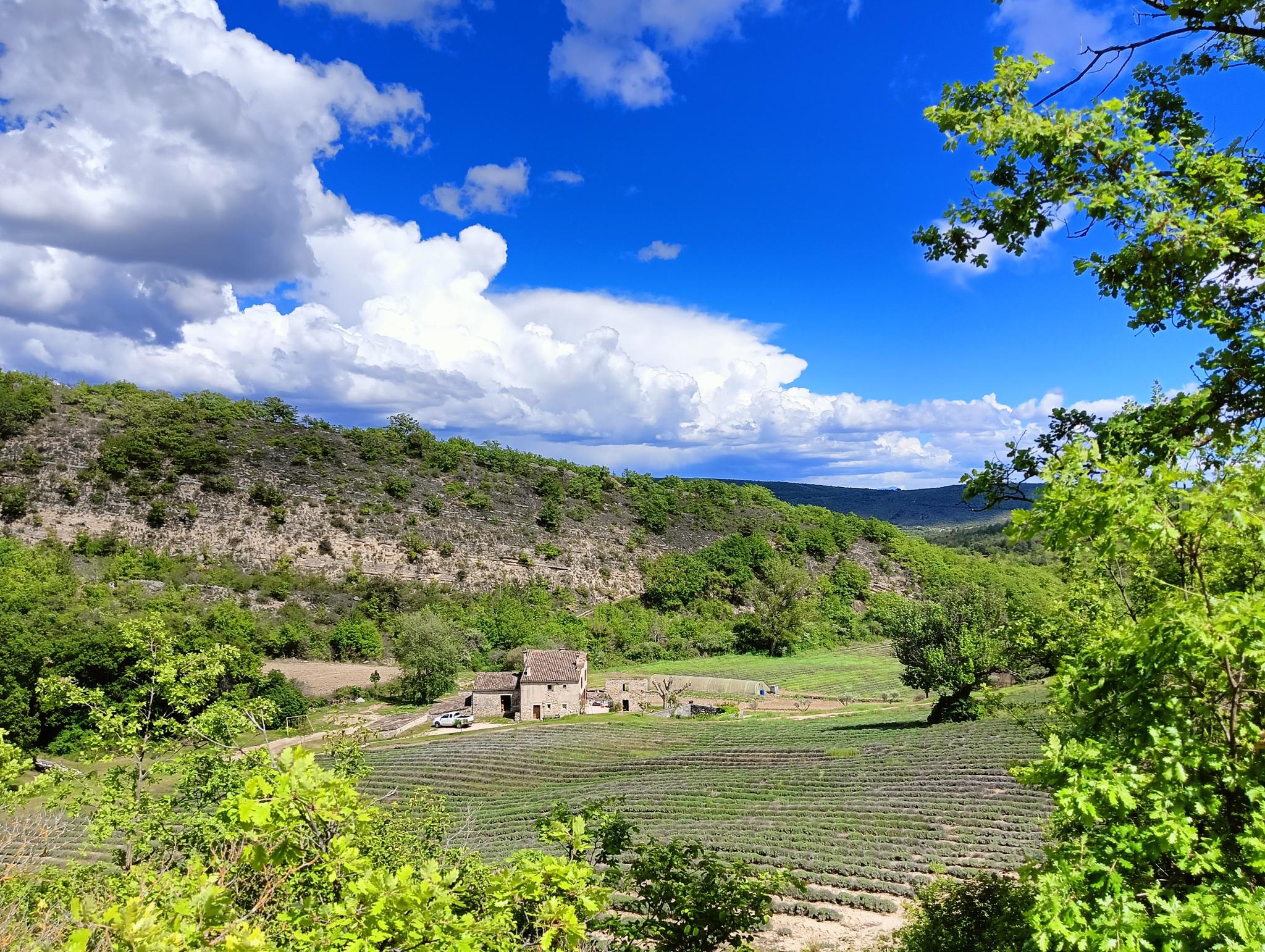 Things to Do around Saint-Michel-L'Observatoire