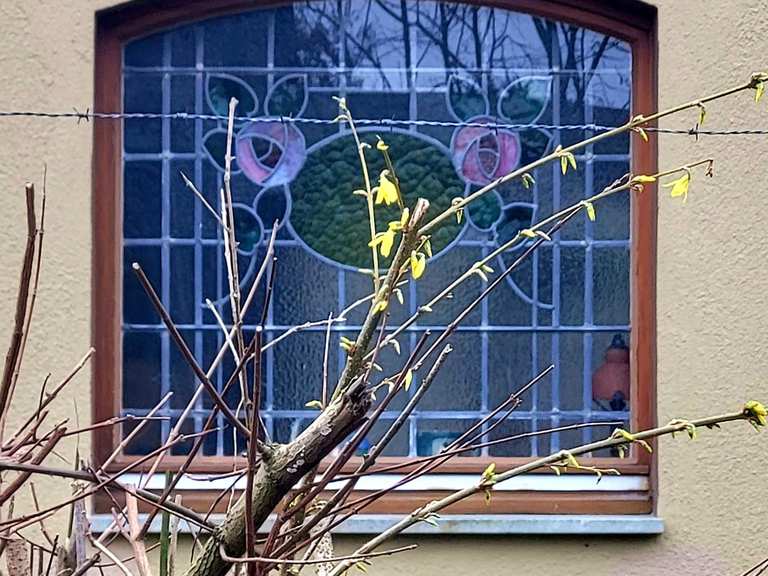 Mit Karin einen Fisch gelaufen 🐠 bei Werne | Wanderung | Komoot