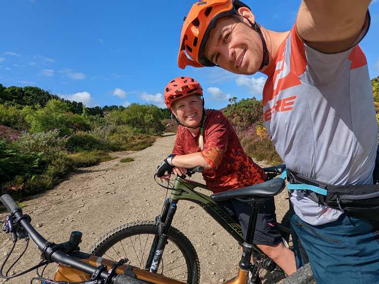 Nice easy MTB Cruise | Mountainbike-Tour | Komoot