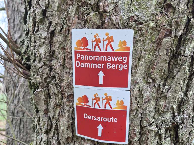 Jahresabschluss Damme | Tour | Komoot