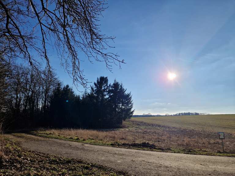 Vom Mordloch durchs Magental nach Steinenkirch🔄🌤🤩🥾 ️ | Wanderung | Komoot