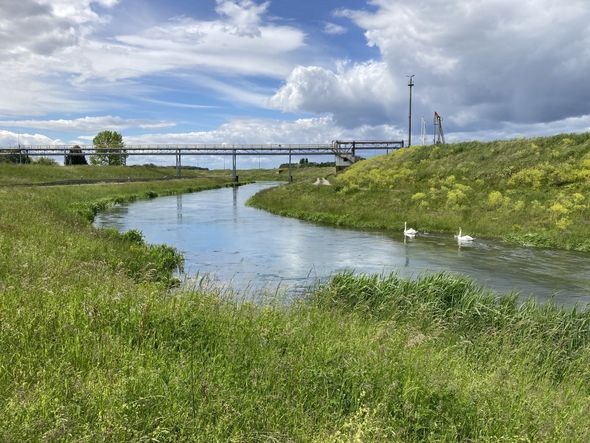 Piste le long du Rhin – Yachthafen Greffern Runde von Achern ...