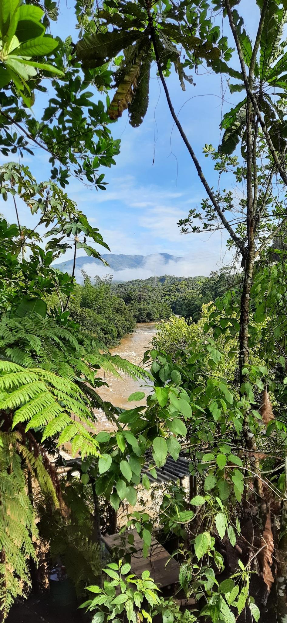 O que fazer em Puerto Gaitán