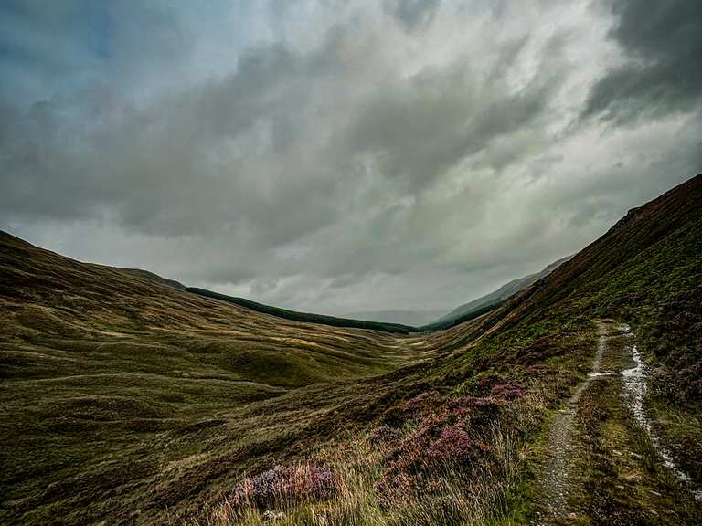 🦡 Badger Divide 🦡 the no camping edition! | komoot