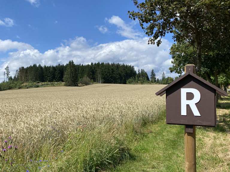 Der Rennsteig, Höhenweg des Thüringer Waldes | Komoot