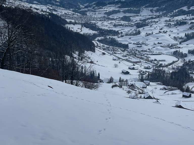 3Königs-Skitour zur Gössigenhöchi. Hoch ab Krummenau über den ...