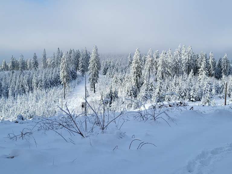 Clz Festenberg | Wanderung | Komoot