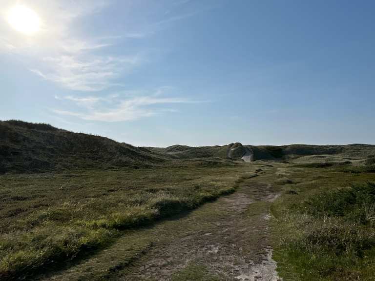 Houvig Strand und Dünenlandschaft 🌊🇩🇰☀️ | Wanderung | Komoot
