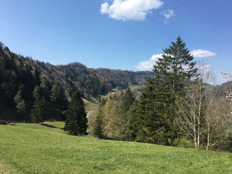 Grindel (Rundweg) | Wanderung | Komoot