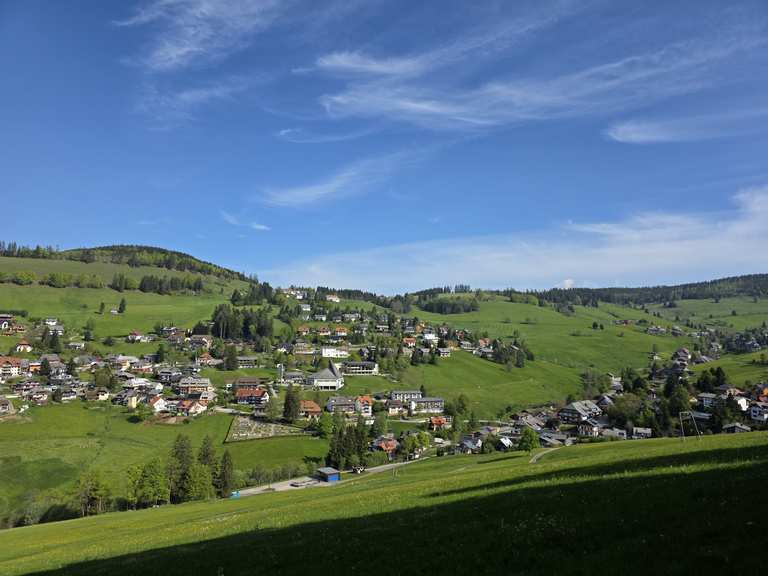 🌲 Schwarzwald 📍 Muggenbrunn ️ Todtnauberg 🌉 Black Forest Line ⛰️ ...