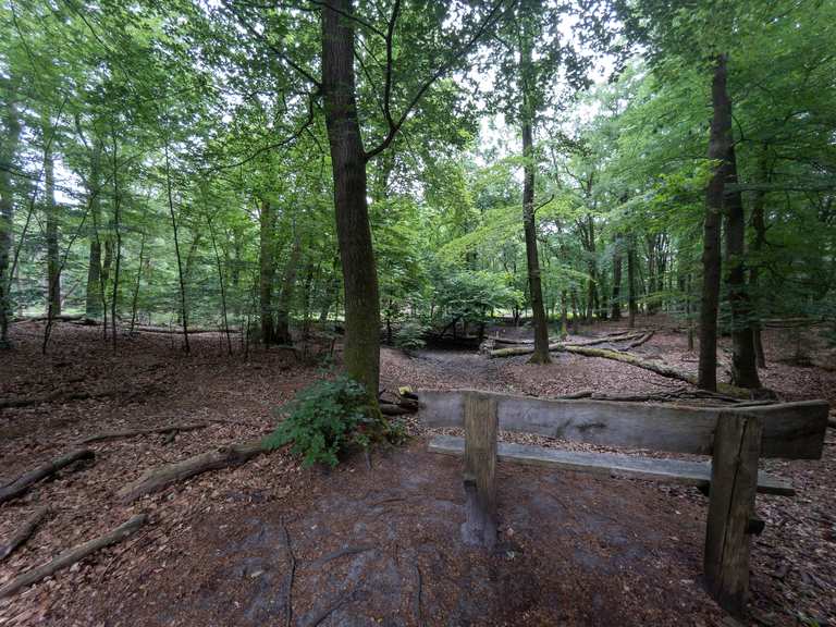 Station Ermelo naar Station Nunspeet | Wanderung | Komoot