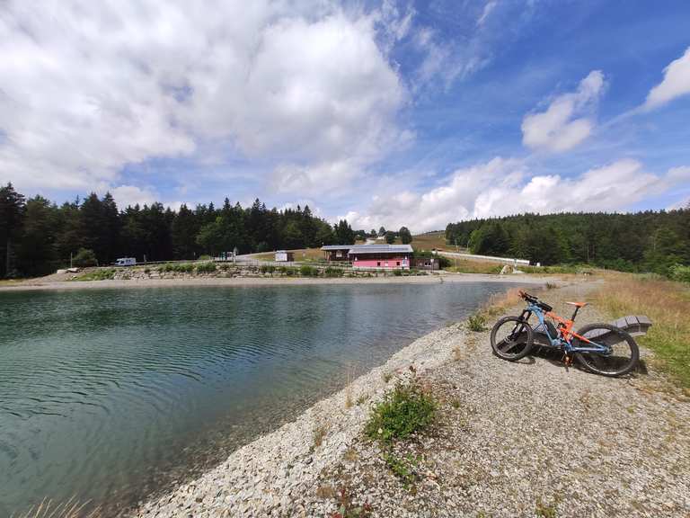 Freyung-Herzogsreut-Almberg-Philippsreut-Bischofsreut-Haidel🤩 | E ...