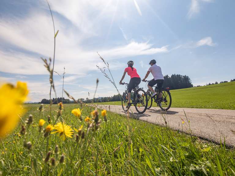 Ruhe und Natur pur - Radtouren im Bodensee Umland | Fahrrad-Collection ...