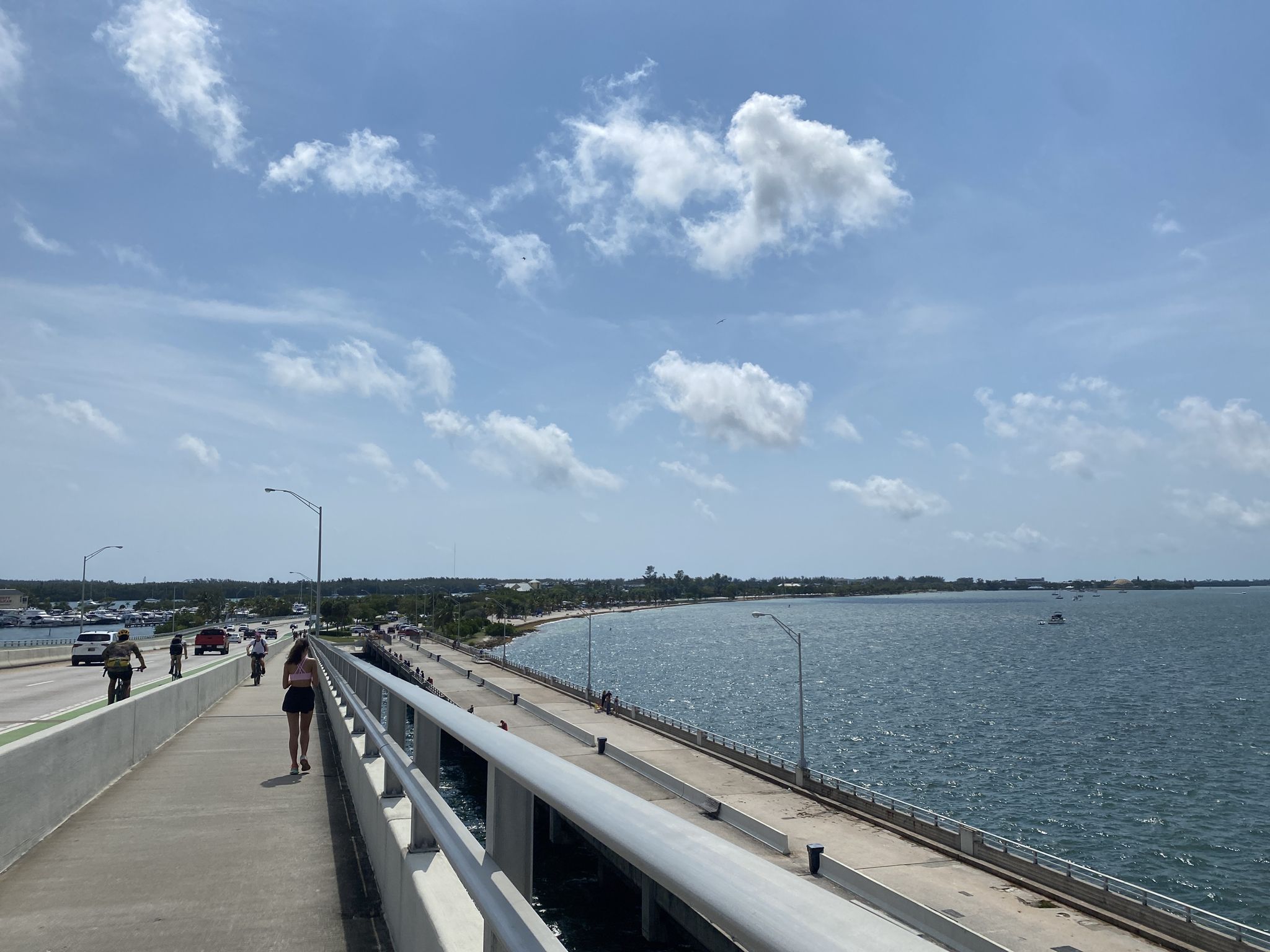 Crandon Beach – Rickenbacker Trail loop from Key Biscayne | ride | Komoot