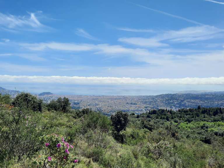 La pyramide de Falicon par la Ronde des Pins | Wanderung | Komoot