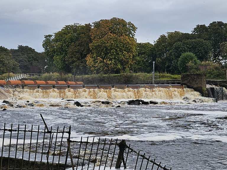 River Ouse: Naburn - Acaster Malbis - Acaster Selby | Wanderung | Komoot