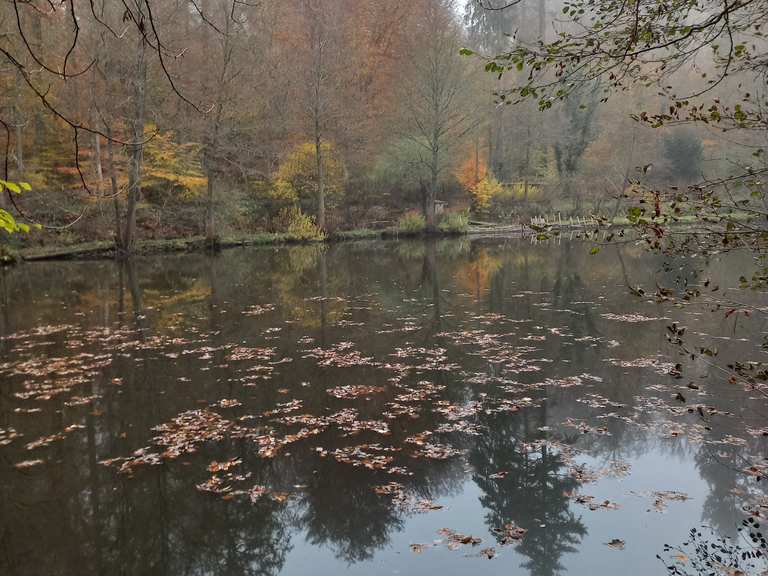 Der Filou ist stärker als der November | Mountainbike-Tour | Komoot