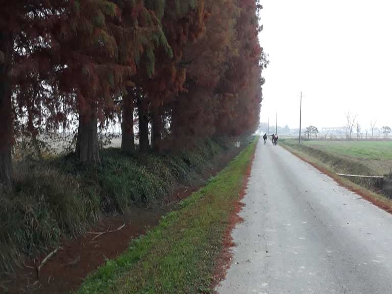 Gravel-fiume Lambro sponda dx, fiume Po sponda sx e la campagna Pavese ...