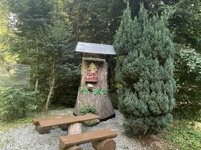 Rohrberg / Hasseltal / Torhaus Aurora / Breitsol / Heunweg | hike | Komoot