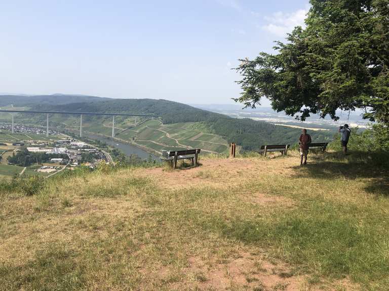 Moselsteig Etappe 14: Von Ürzig nach Mont Royal | Wanderung | Komoot