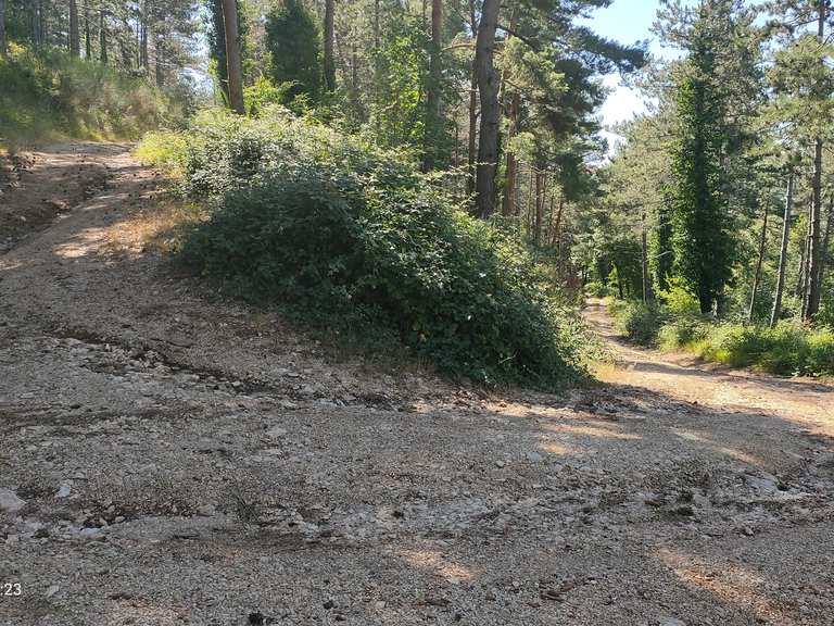 Giro sui monti Martani | Mountainbike-Tour | Komoot