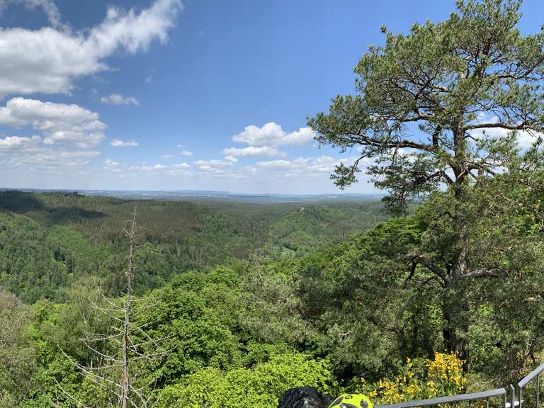 Die schönsten Regental-Trails zwischen Nittenau und Regenstauf | Komoot