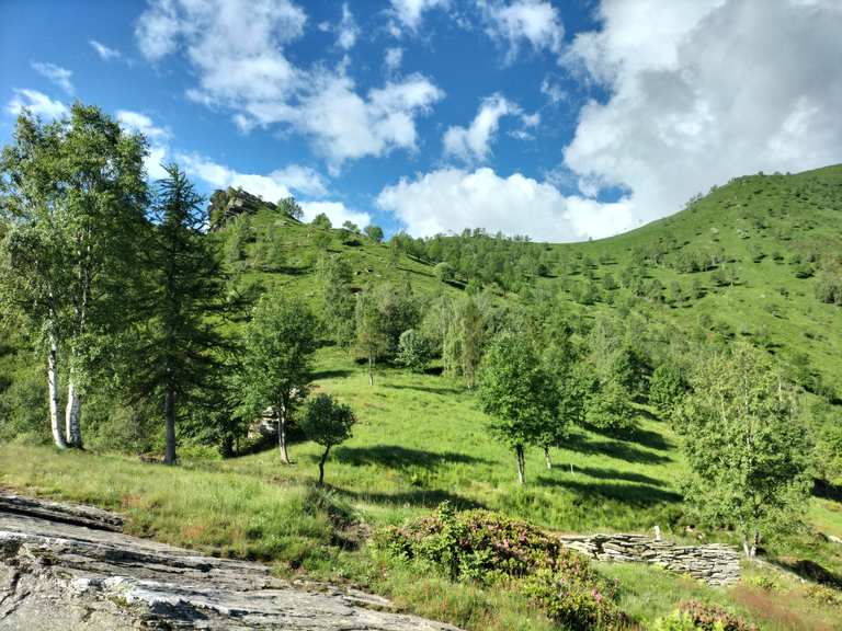 Pramollo:anello Ruata-Roccho Renìe-Plan Friero-Laz arà-Ruata ...